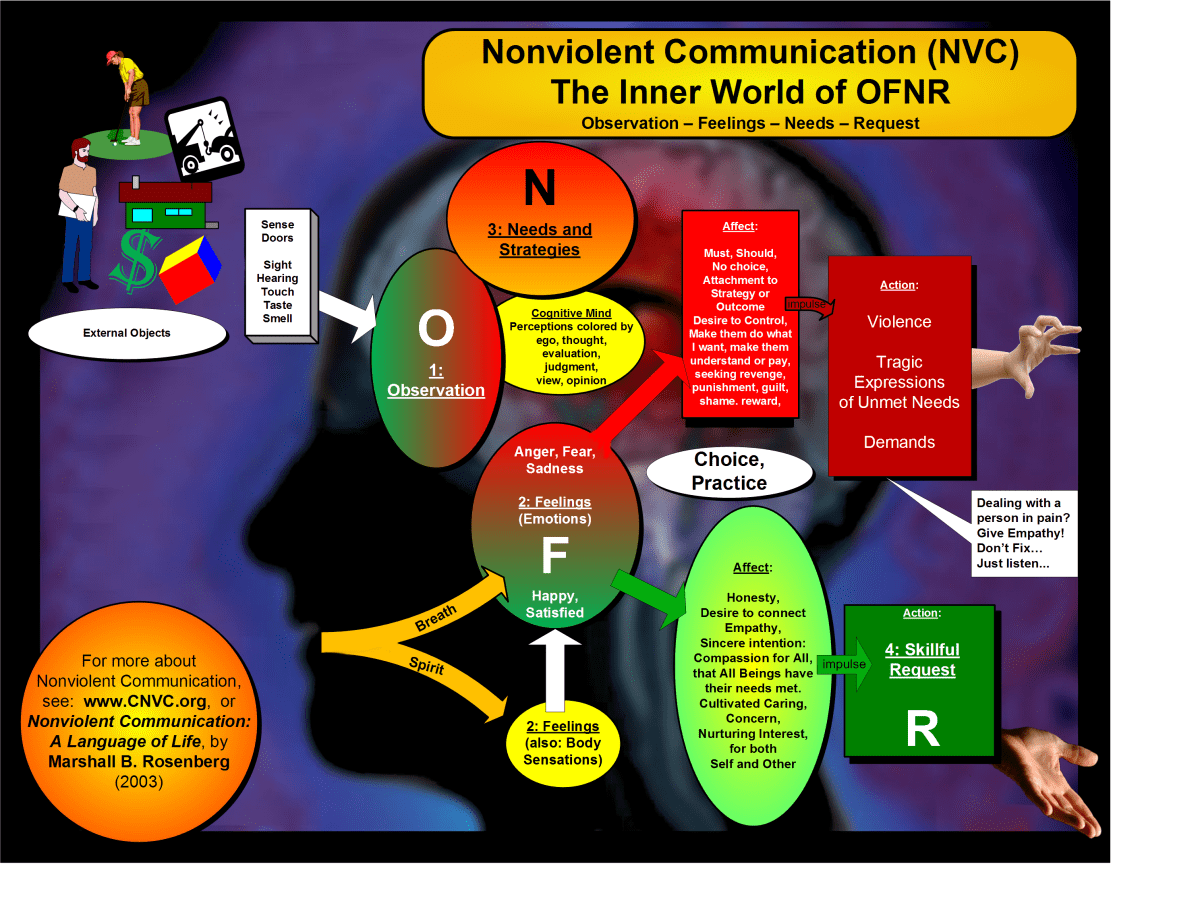 OFNR | Street Giraffes