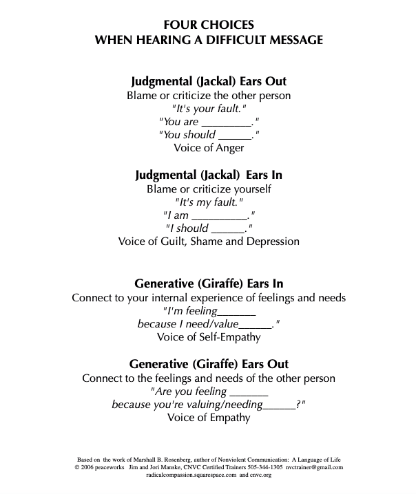 Choice Points | Street Giraffes